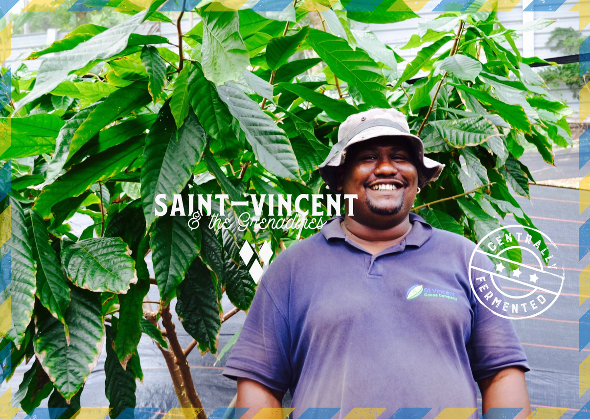 Saint Vincent Cacao Cocoa Beans 1kg – Cocoa Hub